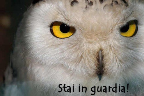 Italian grammar – Difference between essere and stare - Sos Italian ...